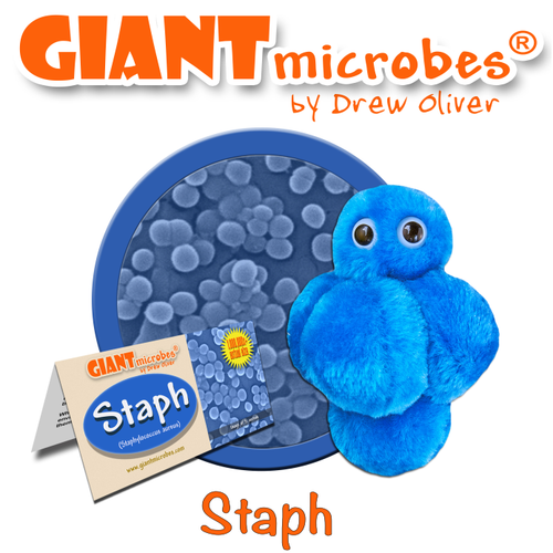Buy Giant Microbes Original Staph Staphylococcus Aureus Giantmicrobes ...