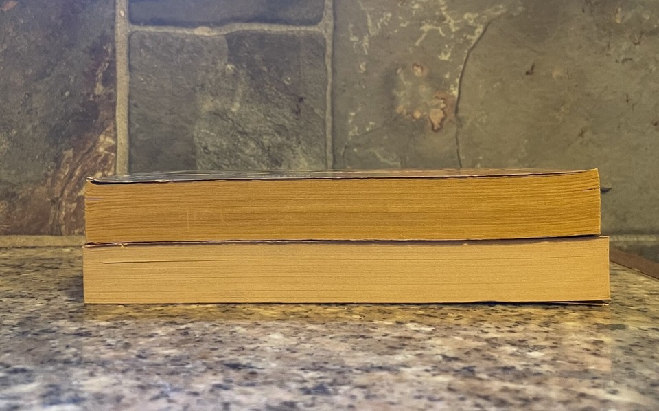 Robert Jordan - Conan the Defender & John Maddox Roberts - Conan the ...