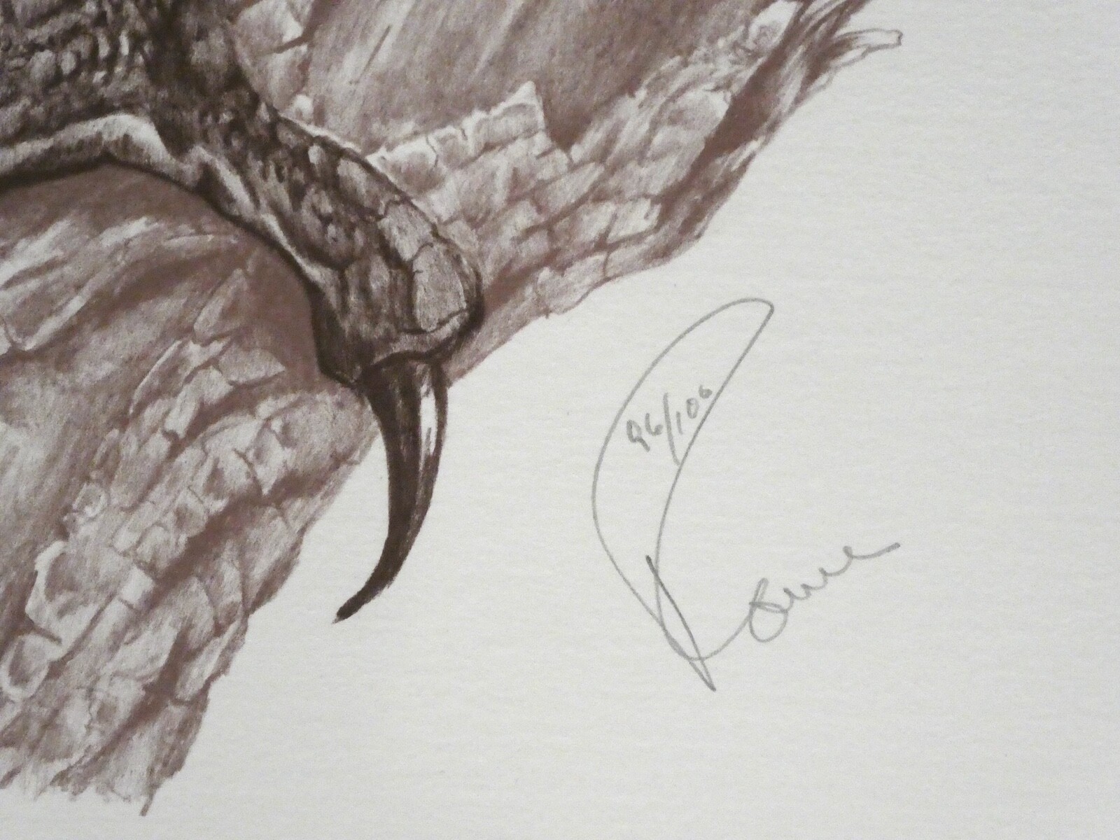 Charles Rowe Lithograph “Falcon” Bird Brown Pencil Signed and Numbered ...