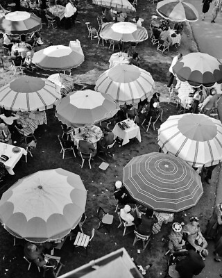 Dining At Pimlico Racetrack Photograph Umbrellas Baltimore Maryland ...