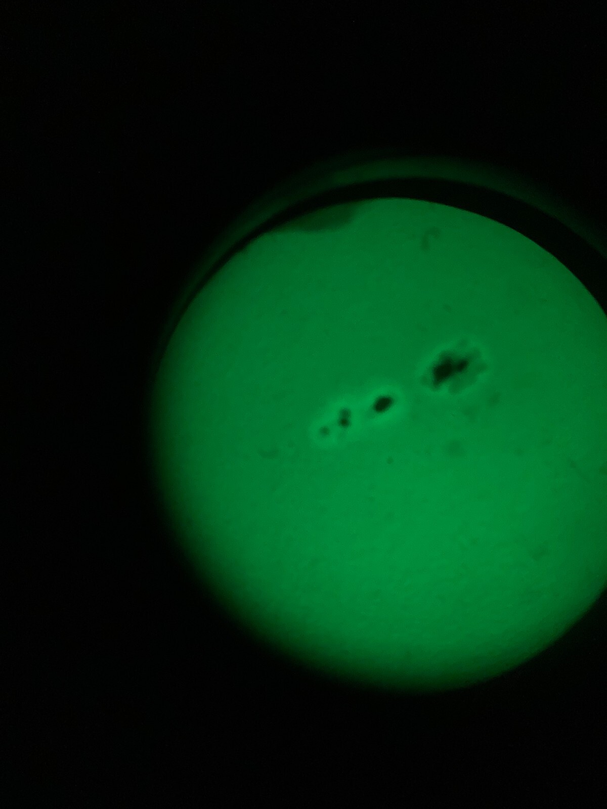 MX-10130 AN/PVS-7 Gen 3 Image Intens. Tube, Green Phos, Low Gain, Blems ...