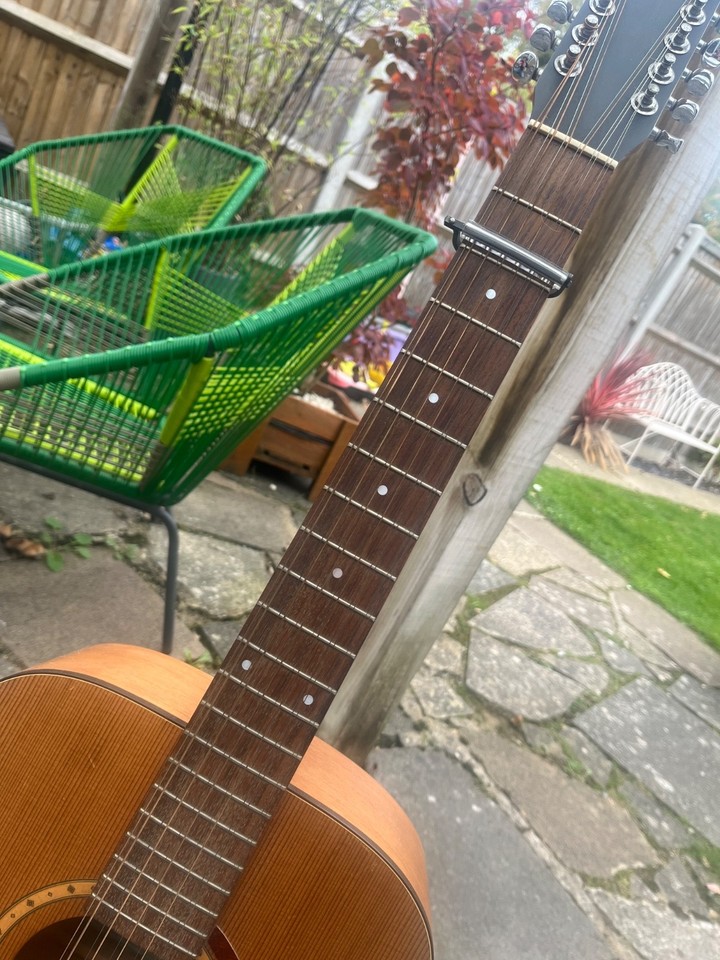 Simon And Patrick 12 String Cedar Acoustic Guitar w/ 12 String Capo ...