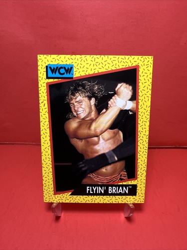1991 Impel WCW Flyin' Brian #59 Rookie RC EX🦄 | eBay