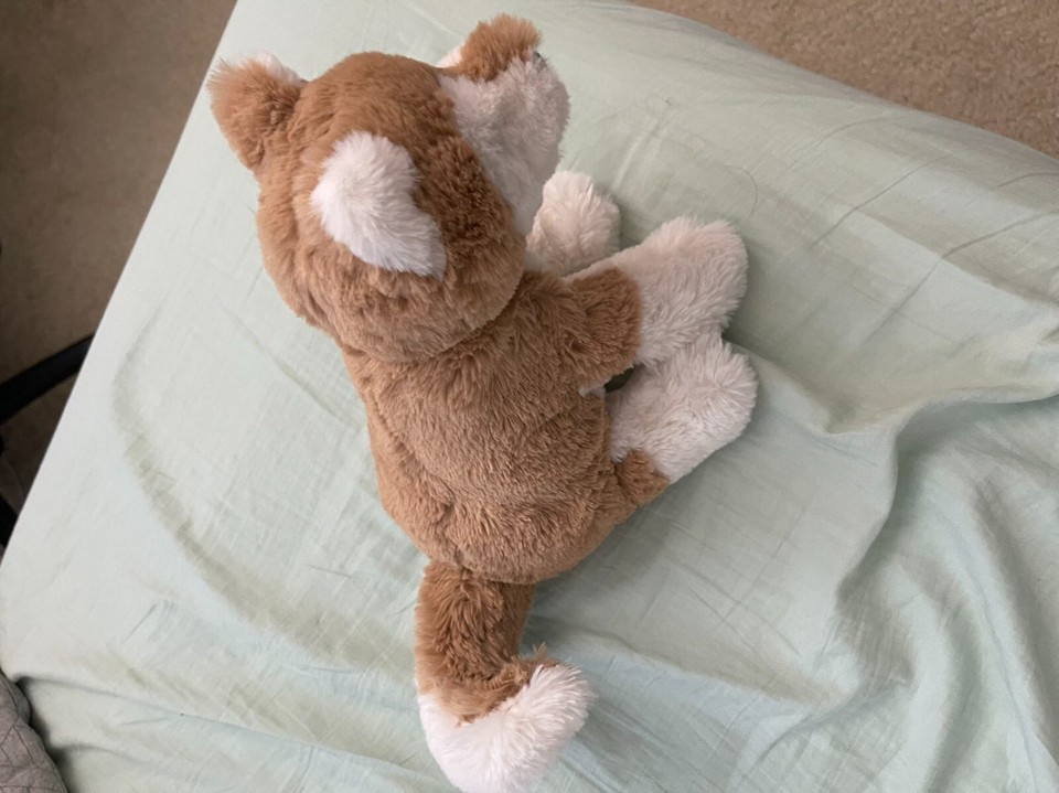 Jellycat MILO SHIBA INU MEDIUM Soft Plush Toy | eBay