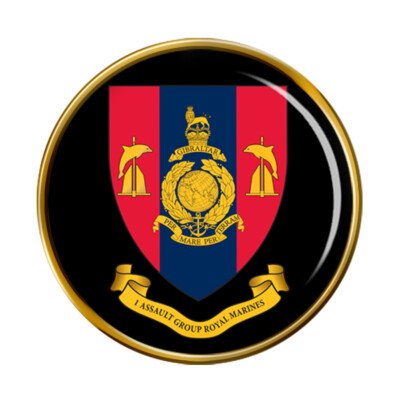 1 Assault Group Royal Marines Pin Badge | eBay
