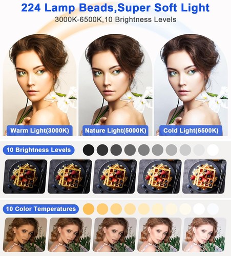 12" Selfie Ring Light with 30" Desk Stand Phone Holder 20W LED Desktop ...