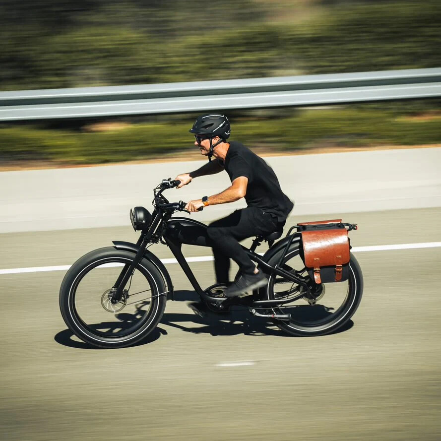 CHEETAH PLUS Full-Package Deal - 48V 840wh 17.5ah | eBay