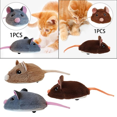 Motion-Activated Cat Toy with Interactive Mouse | eBay