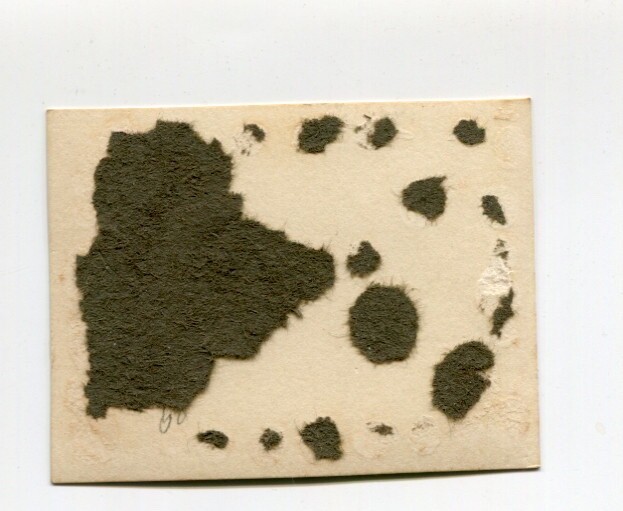 K6302 Foto ca 1910 Mädchen Girls Halb - Nackt Frau Bade - Mode ...