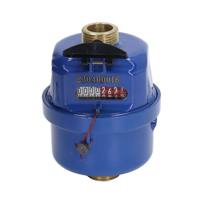 Gas & Water Meters - Model 25 Water Meter