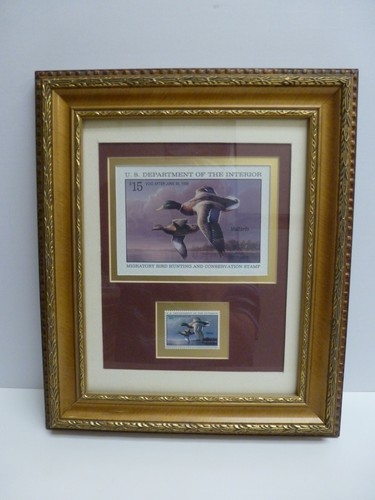 Federal Duck Stamp custom frame triple matted | eBay