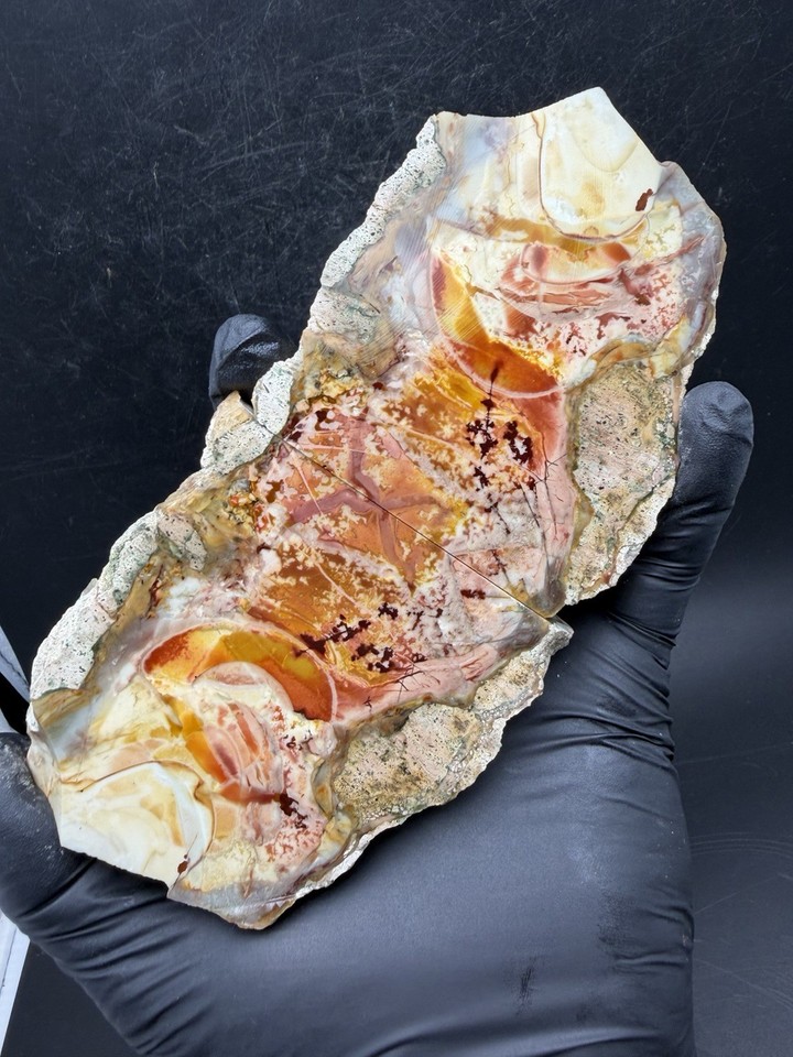 Morrisonite Jasper Split Old Stock Oregon Orbicular Jasper Beautiful ...