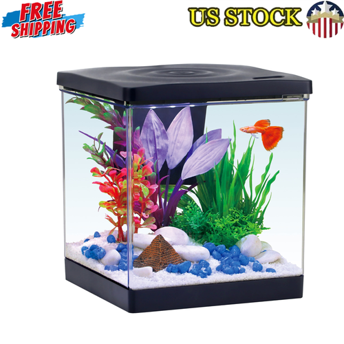 Plastic Rectangular Tank W/ Black Lid Small/Single Fish Starter 1.5g ...