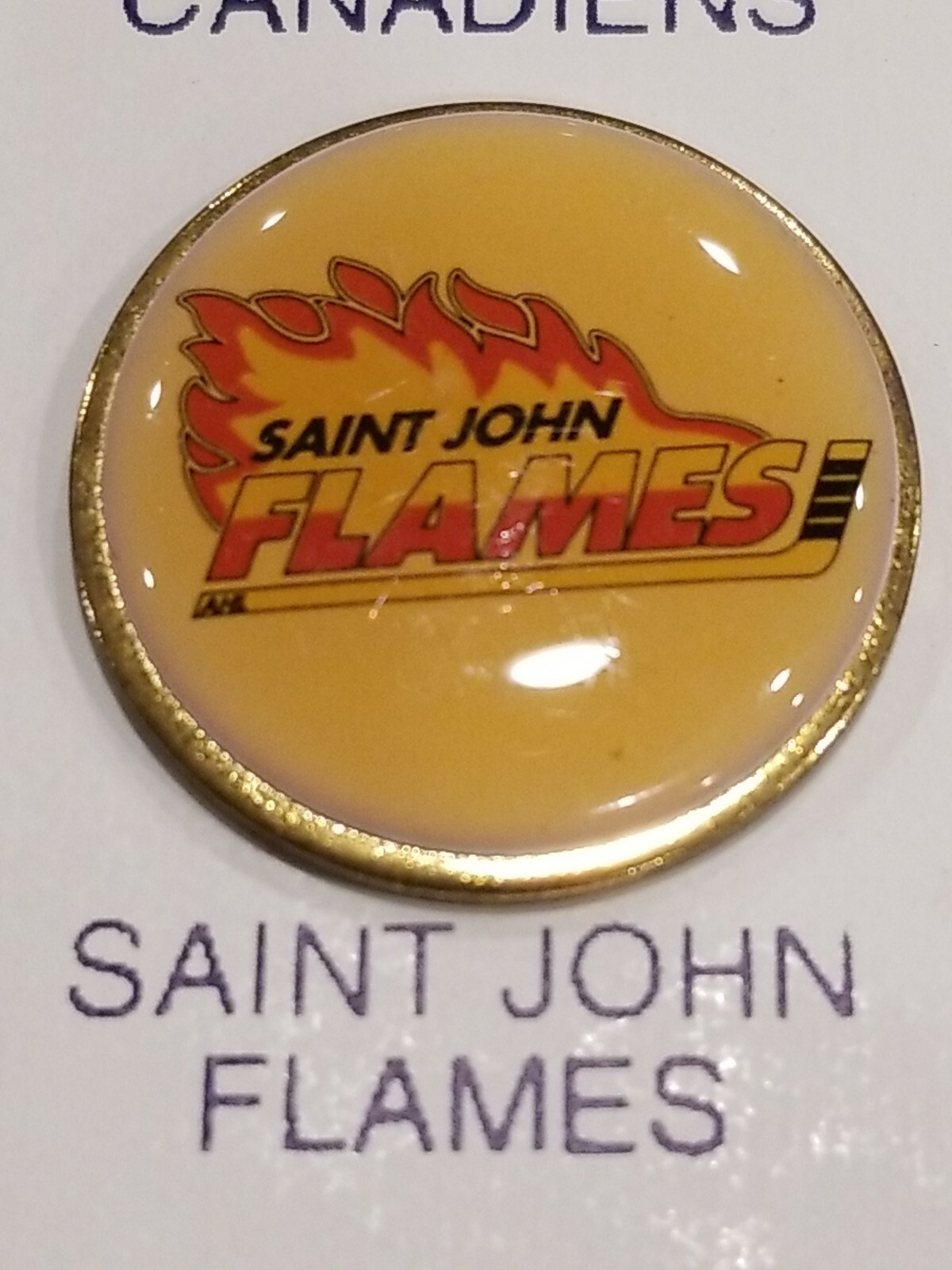 VINTAGE 1990'S SAINT JOHN FLAMES AMERICAN HOCKEY LEAGUE PIN | eBay