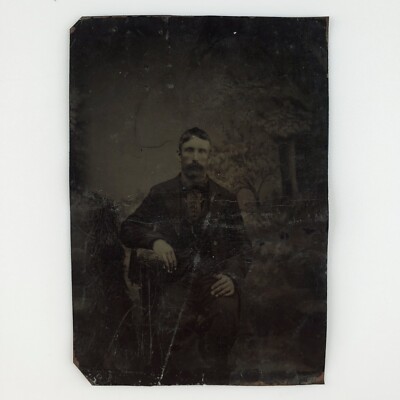 Forest Backdrop Mustache Man Tintype c1870 Antique 1/6 Plate Sitter ...