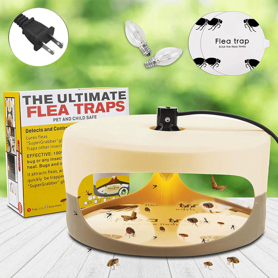 Electric Flea Trap Killer Home Pest Control Sticky Disc Spare Lamp Non ...