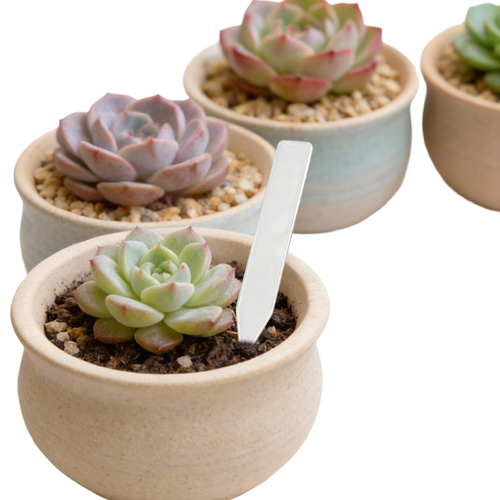 50/100pcs Plastic Plant Labels 2.87inch Garden Plant Markers Nursery ...