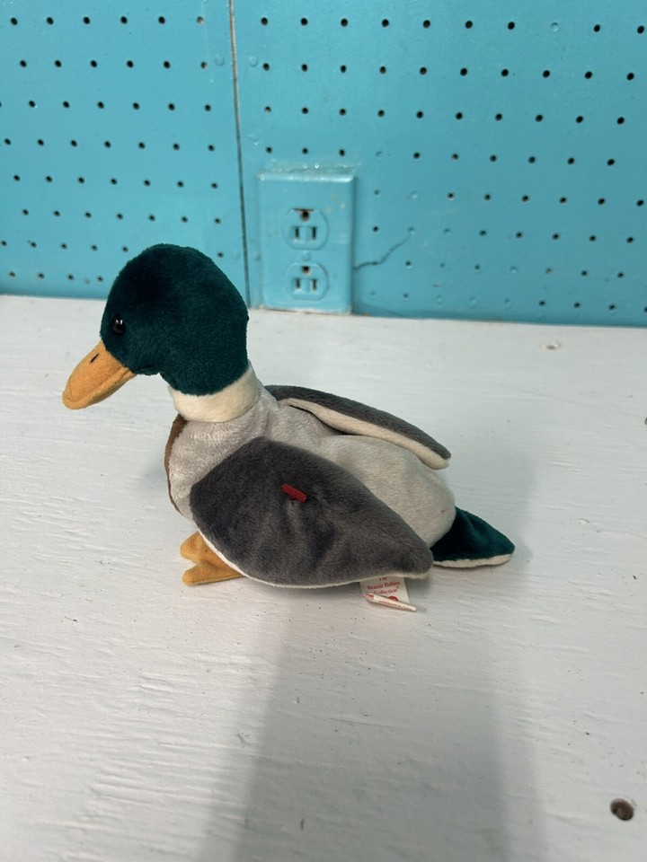 Ty Jake the Mallard Duck Plush Toy 798256301308 | eBay