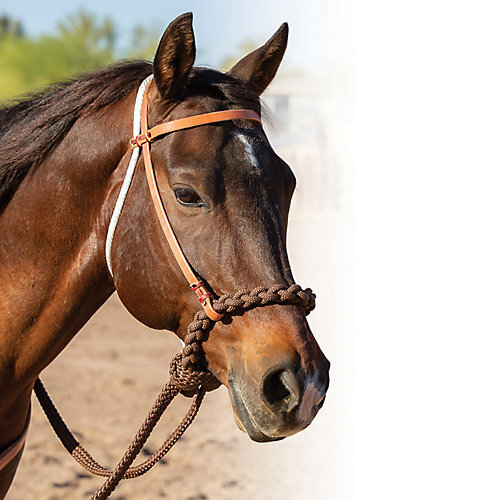 Professionals Choice Loping Hackamore | eBay