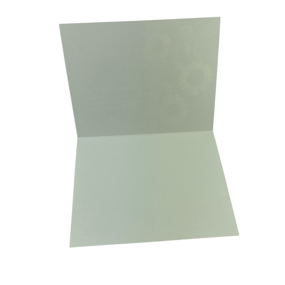 Buffini Blank Note Cards Art Inspiration 24 Cards + Envs Sunflower ...