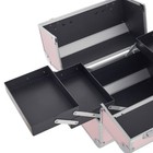 Extra Large Vanity Case Beauty Box Make up Cosmetic Nail Storage ...