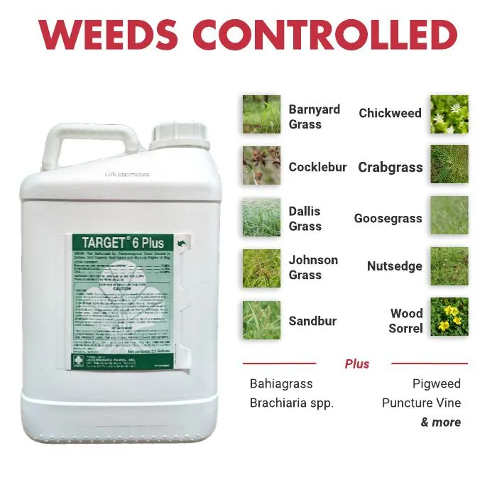 MSMA Target 6 Plus Herbicide 2.5 Gallon | eBay
