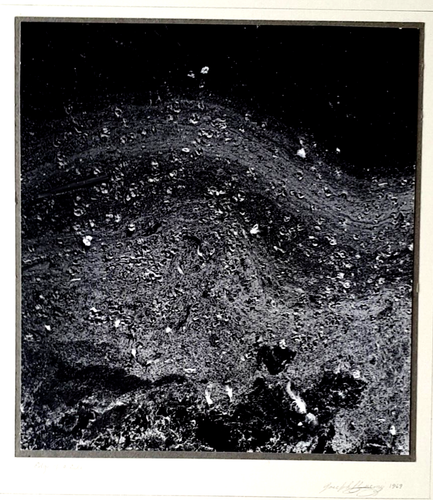 Rare abstract photo signed Joseph Anthony Bueni "Edge of a lake" 1969 ...