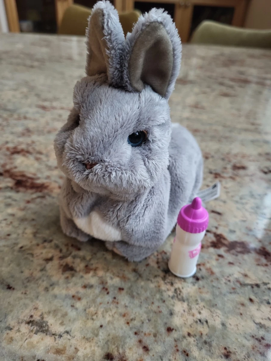 Grey Baby Bunny