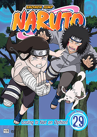 Naruto, Vol. 29 DVD 782009238379| eBay