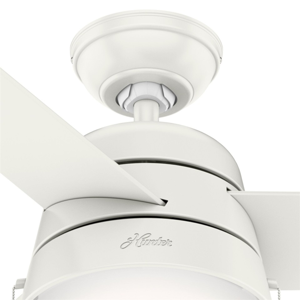 Hunter Fan 52 in Contemporary Fresh White Ceiling Fan with Pull Chain ...
