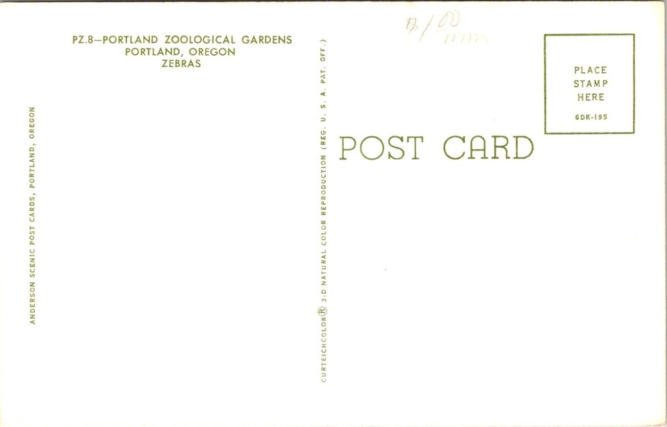 Portland Zoo Pair Zebras Oregon Postcard B44 | eBay