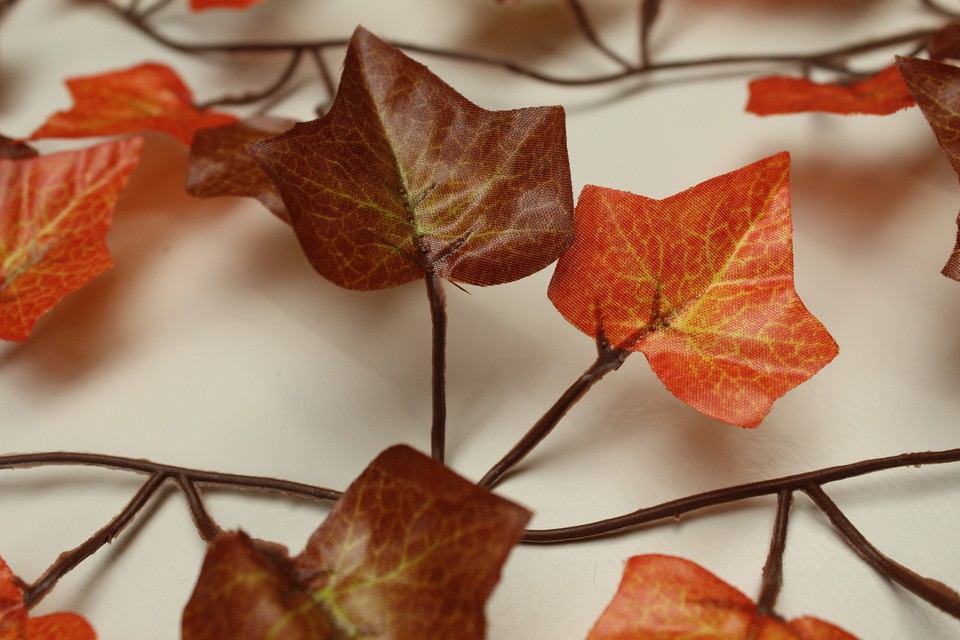 Best Artificial Two Tone Autumn English 7ft Hanging Ivy Garland String ...