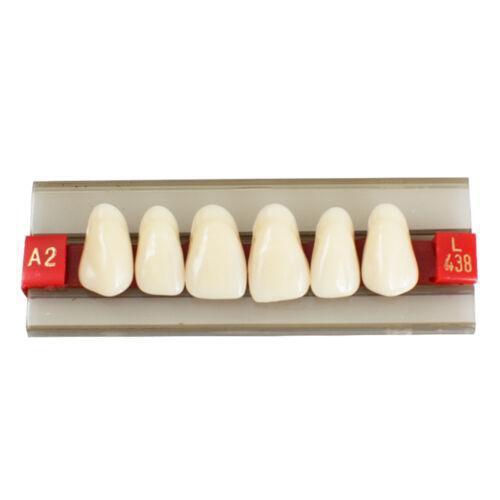 Acrylic Resin Denture Dental Upper Anterior Teeth Shade G438 A2 for ...
