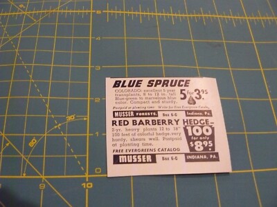 The Farm QRTLY -ADS -SPRING 1959- BLUE SPRUCE/ BARBERRY HEDGE /Musser ...