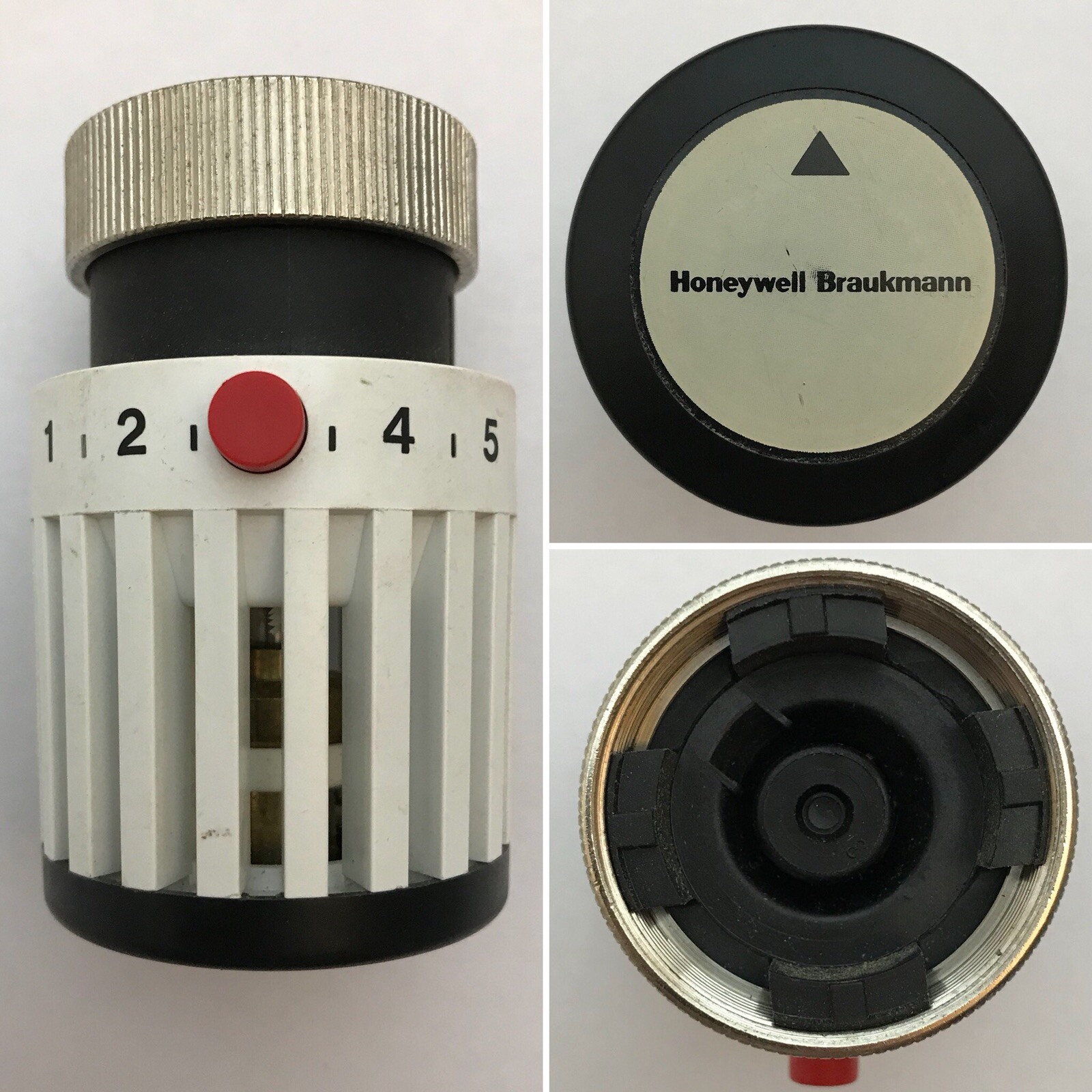 NEU_Honeywell_Braukmann_T104-351_Thermostatkopf_M40x1,5mm_Große ...