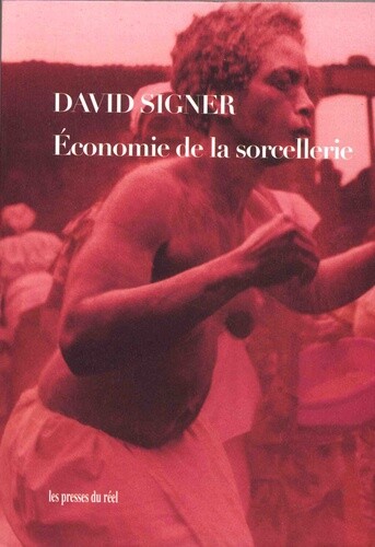 Economie de la sorcellerie, David Signer et Mariette Althaus | eBay