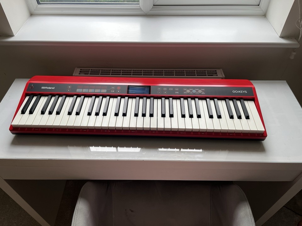 Roland Go 61-Key Digital Piano Electronic Keyboard *EXCELLENT* Power ...