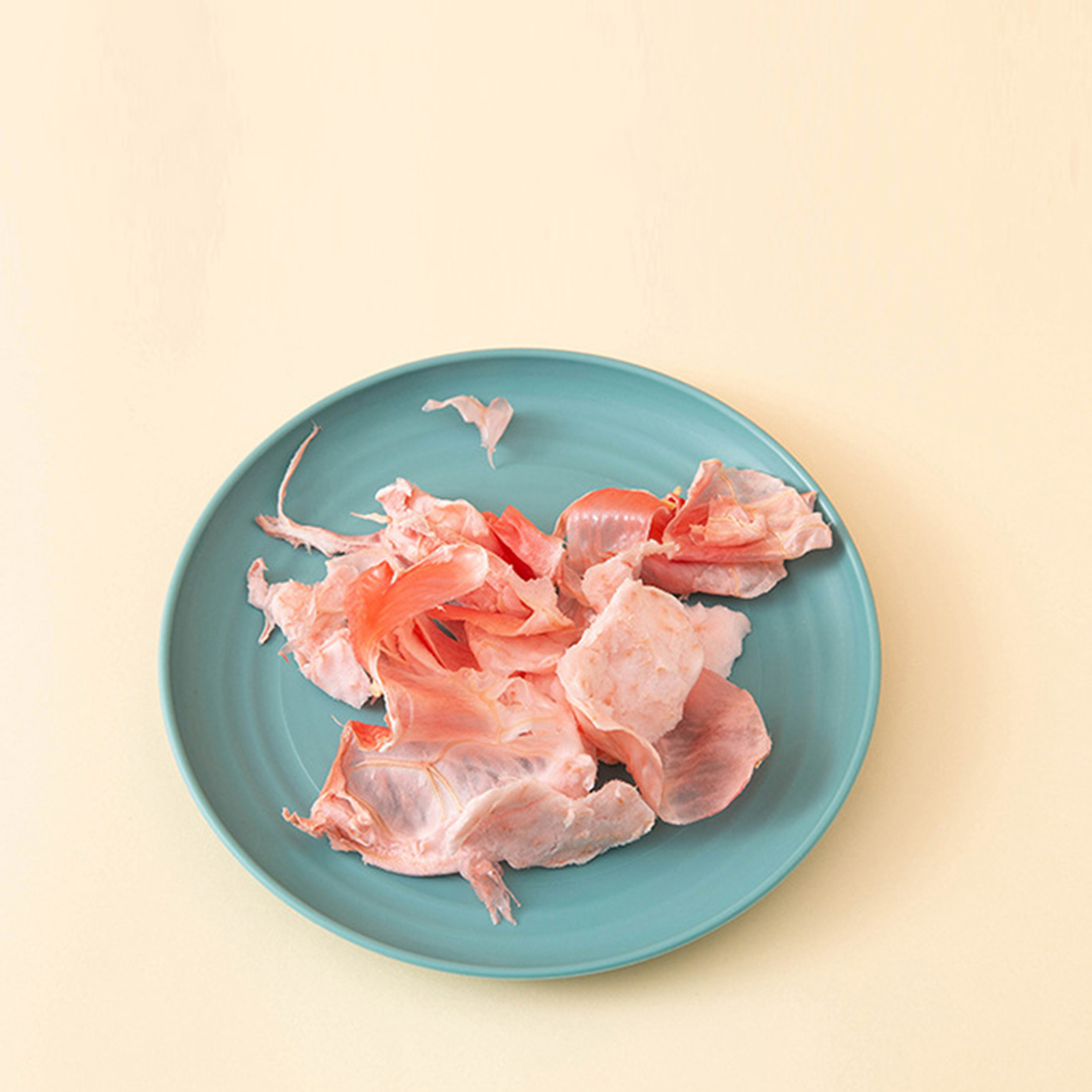 2pcs Dinner Plate Smooth Resilient Home Resilient Kitchen Plate Plastic ...