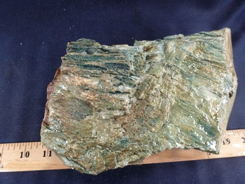 CSS: 7.4 lb Piece Of Green Hampton Butte Petrified Wood | eBay