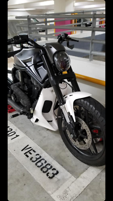 Fiberglass Front Radiator Cover Fit For Harley V-Rod VRSCAW VRSCAW ...