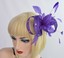 Spring Race Carnival Melbourne Cup Feather Fascinator Headband Clip ...