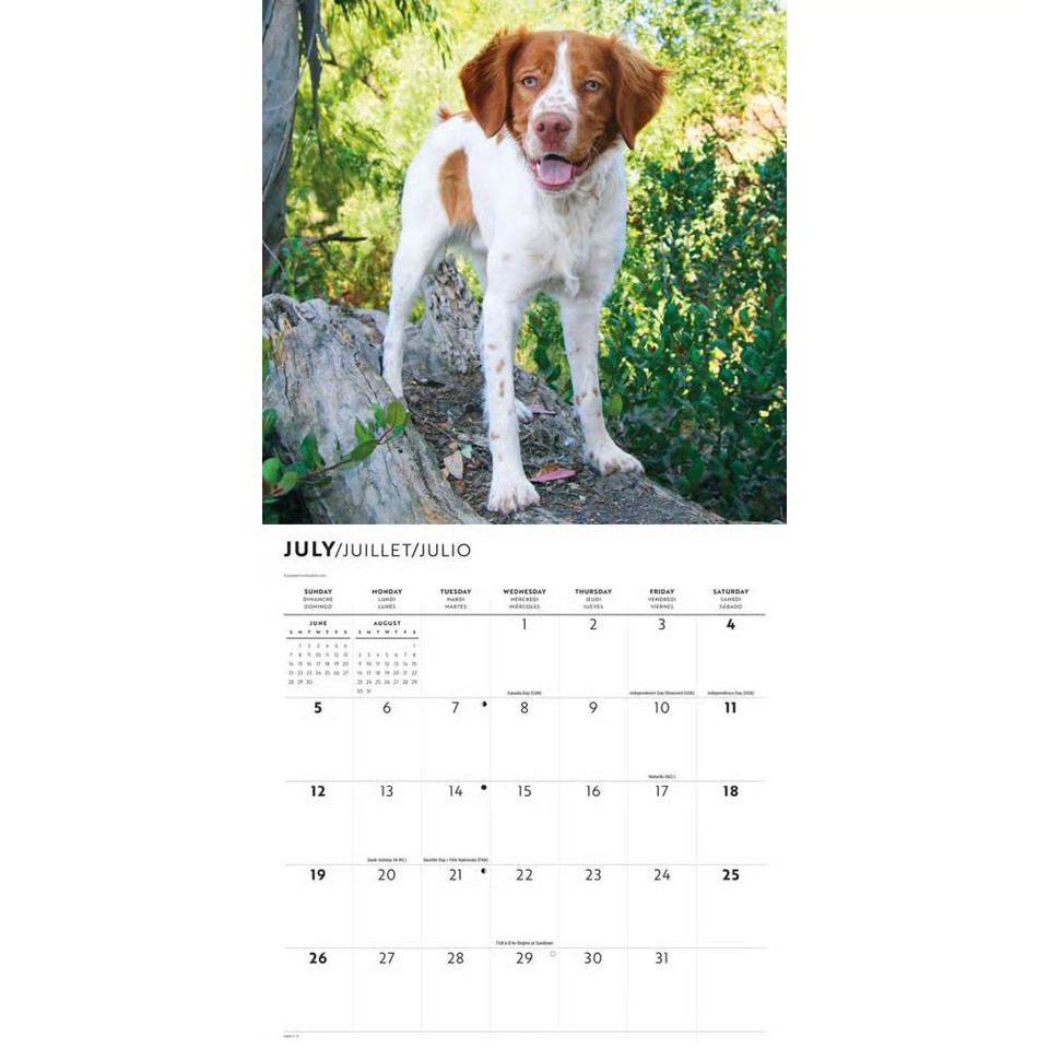 Carousel Calendars, Brittanys 2026 Wall Calendar, 12'' X 12'', 16-Month ...