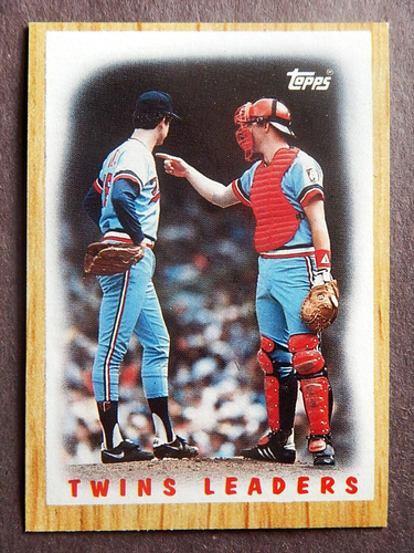 1986 Twins Team Leaders #206 Topps 1987 Baseball Card (Minnesota Twins ...