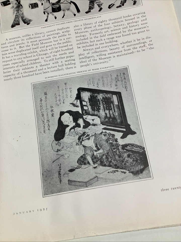 Chicago Field Museum Art Print Article 1925 Original Rare Antique ...