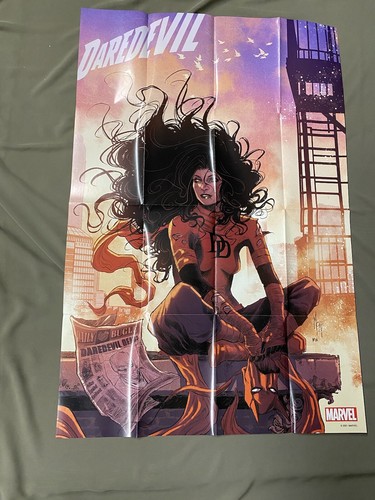 Daredevil 24" x 36" Promo Poster - Marvel Comics 2021 #127 | eBay