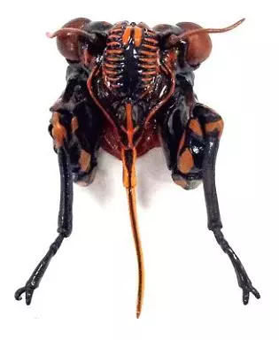 Cicada Figure 3D Capsule Encyclopedia Japan Insect Collection | eBay