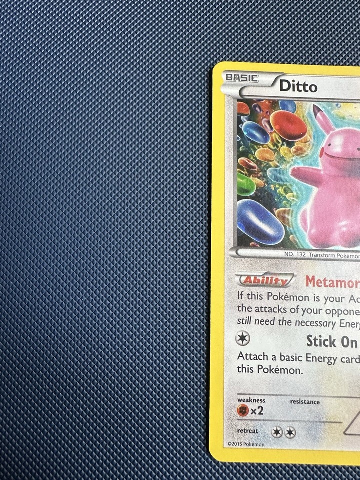 Pokemon TCG Ditto XY40 Black Star Promo Holo Card NM Condition | eBay UK