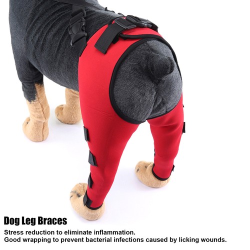 Dog Leg Braces Canine Hind Hock Wraps for Injury Sprain Protection ...