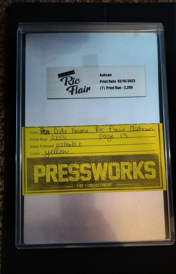 Comic - Code Name: Ric Flair - Autographed Printing Plate - Splash Page ...