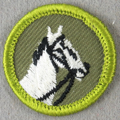 ANIMAL INDUSTRY 1961-1968 Type F Rolled Edge Khaki Twill Merit Badge | eBay